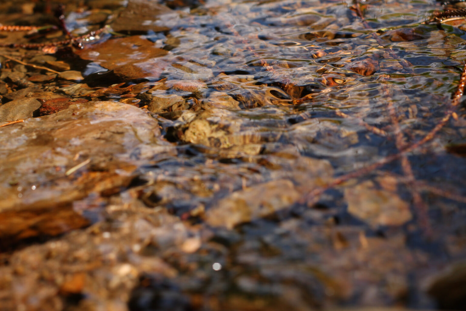 Quicktipps: Wasserflasche an flachem Bach füllen - experience-outdoor.de