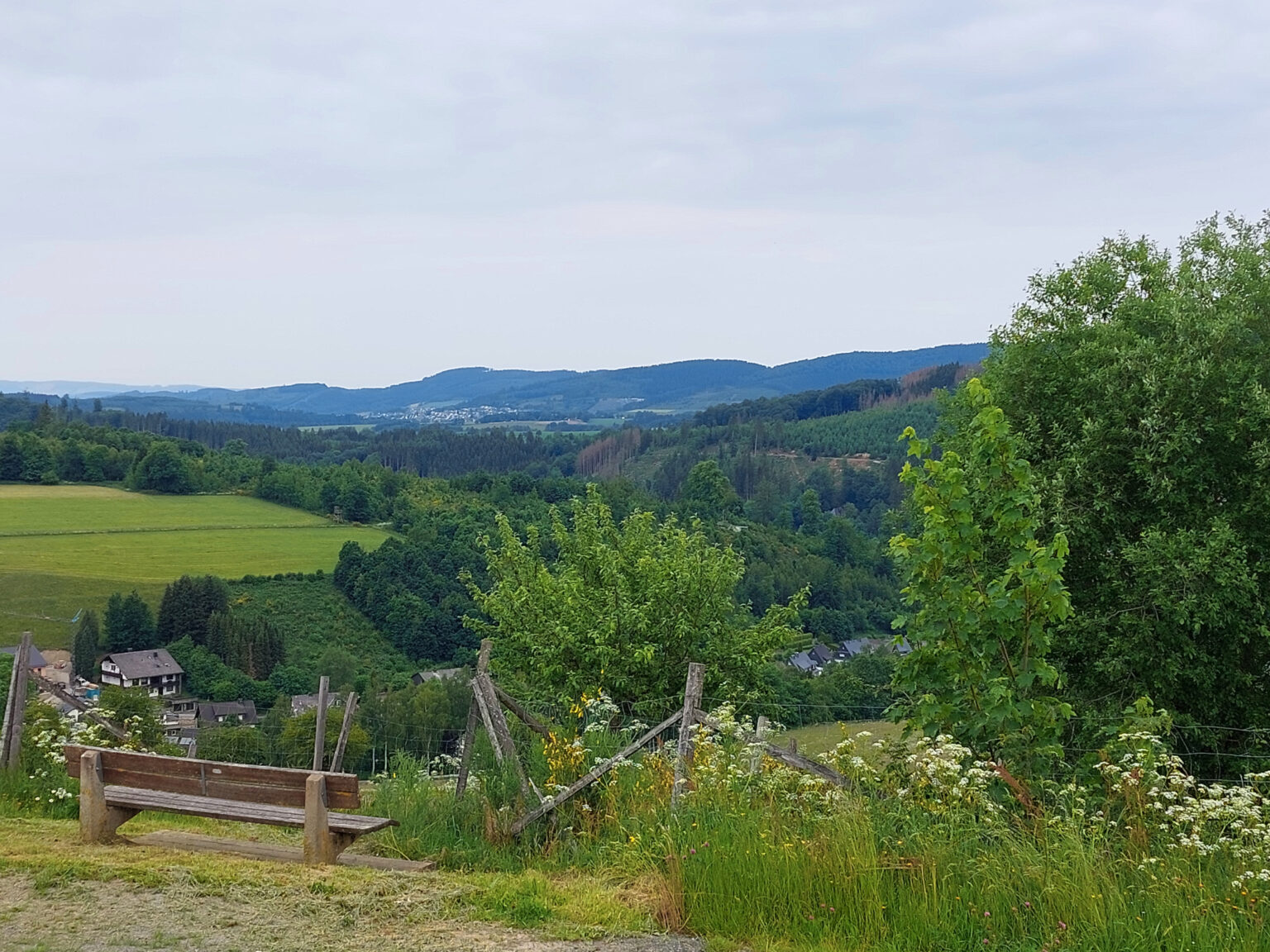 Waldskulpturenweg - Von Oberkirchen nach Bad Berleburg - experience ...