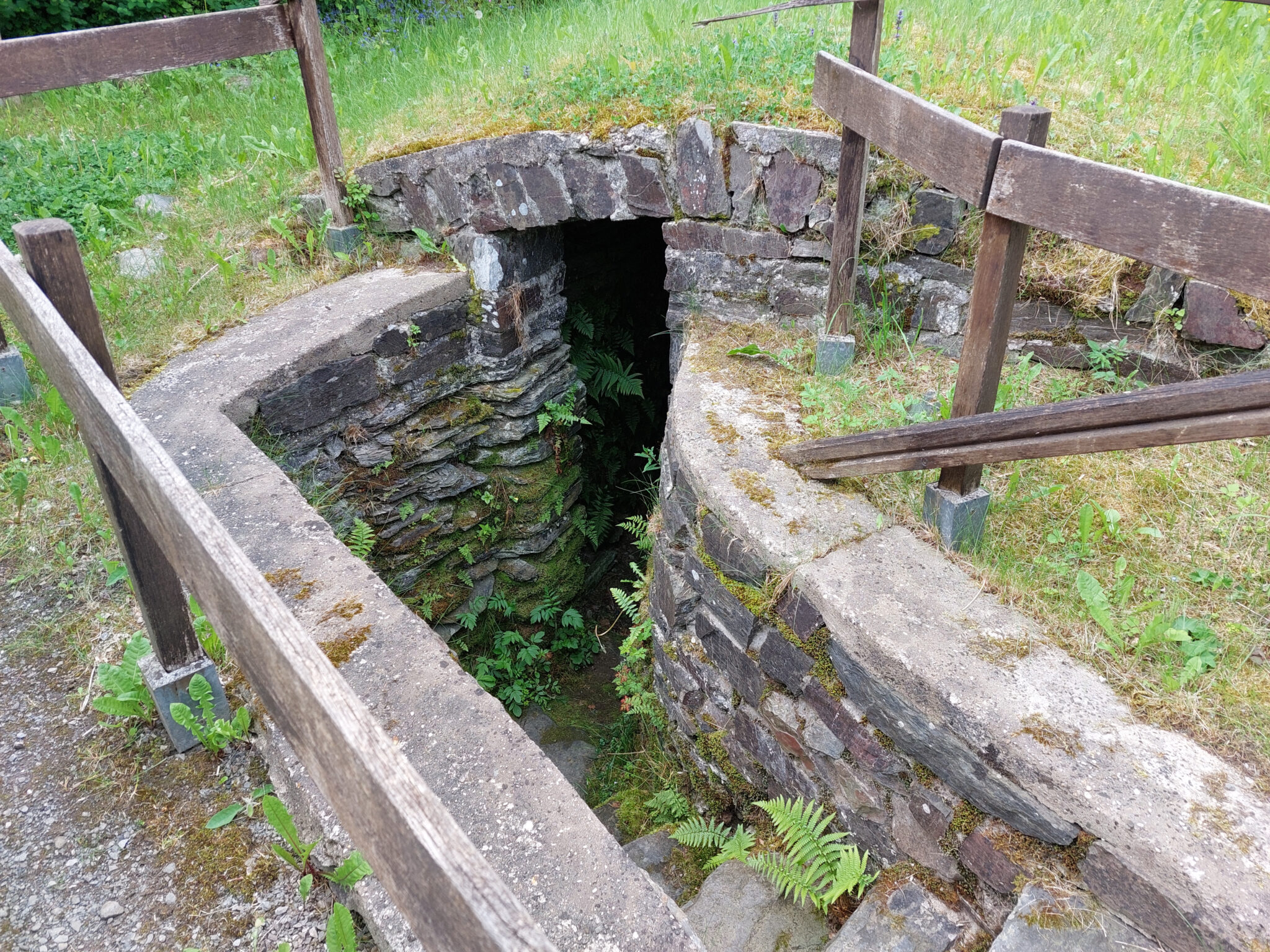 Waldskulpturenweg - Von Oberkirchen nach Bad Berleburg - experience ...